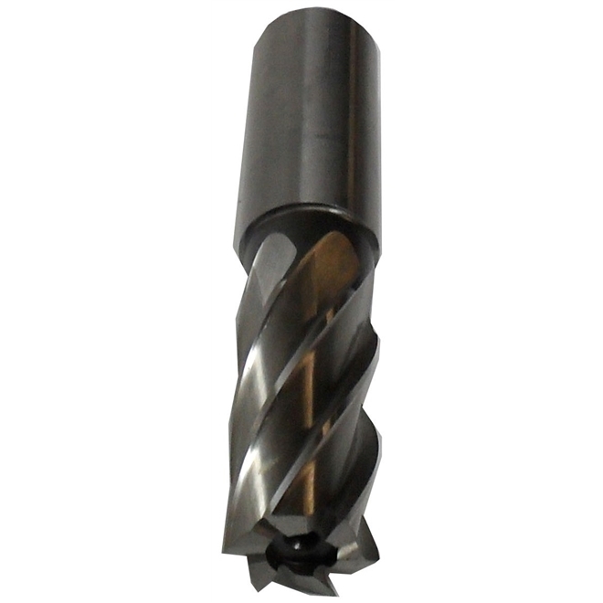 Fresa topo aço rápido HSS mm cortes DIN Dormer Fresa topo aço rápido HSS